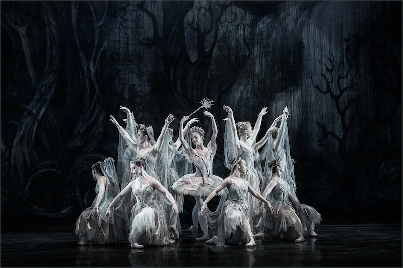 Kim Stevens – Photographic Society of South Africa