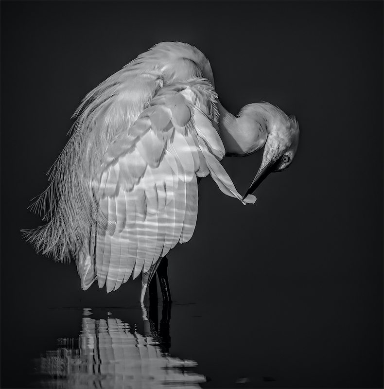 Andre Serfontein – Photographic Society of South Africa