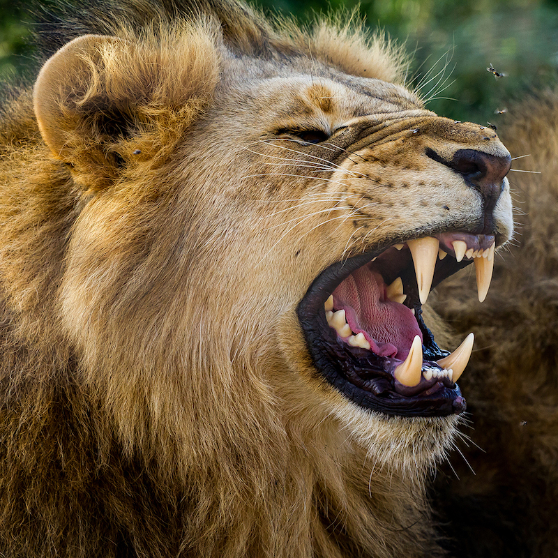 Junior Club Competition Winners Mar 2023 – Photographic Society of ...