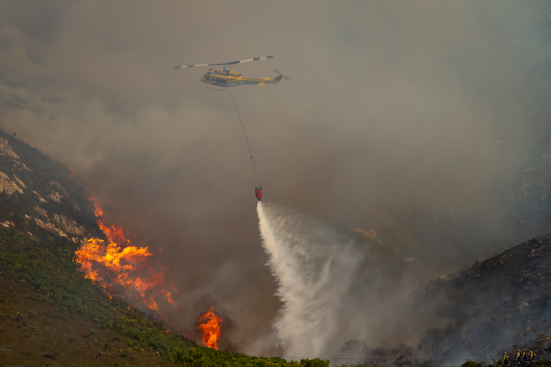 Junior Club Competition Winners June 2023 – Photographic Society of ...