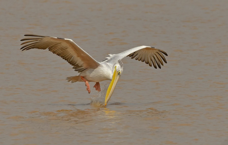 Junior Club Competition Winners June 2023 – Photographic Society of ...