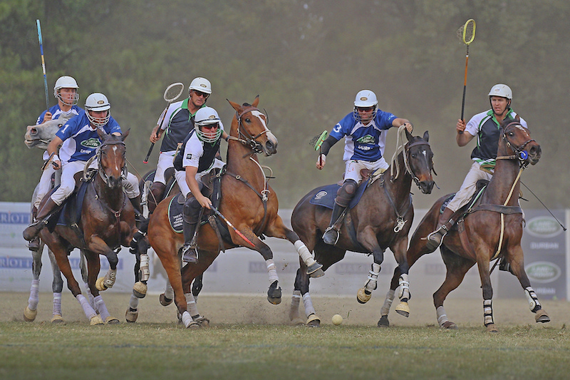 Senior Club Competition Winners June 2023 – Photographic Society of ...