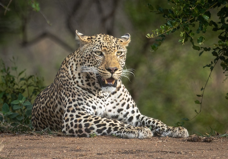 Junior Club Competition Winners Mar 2025 – Photographic Society of ...